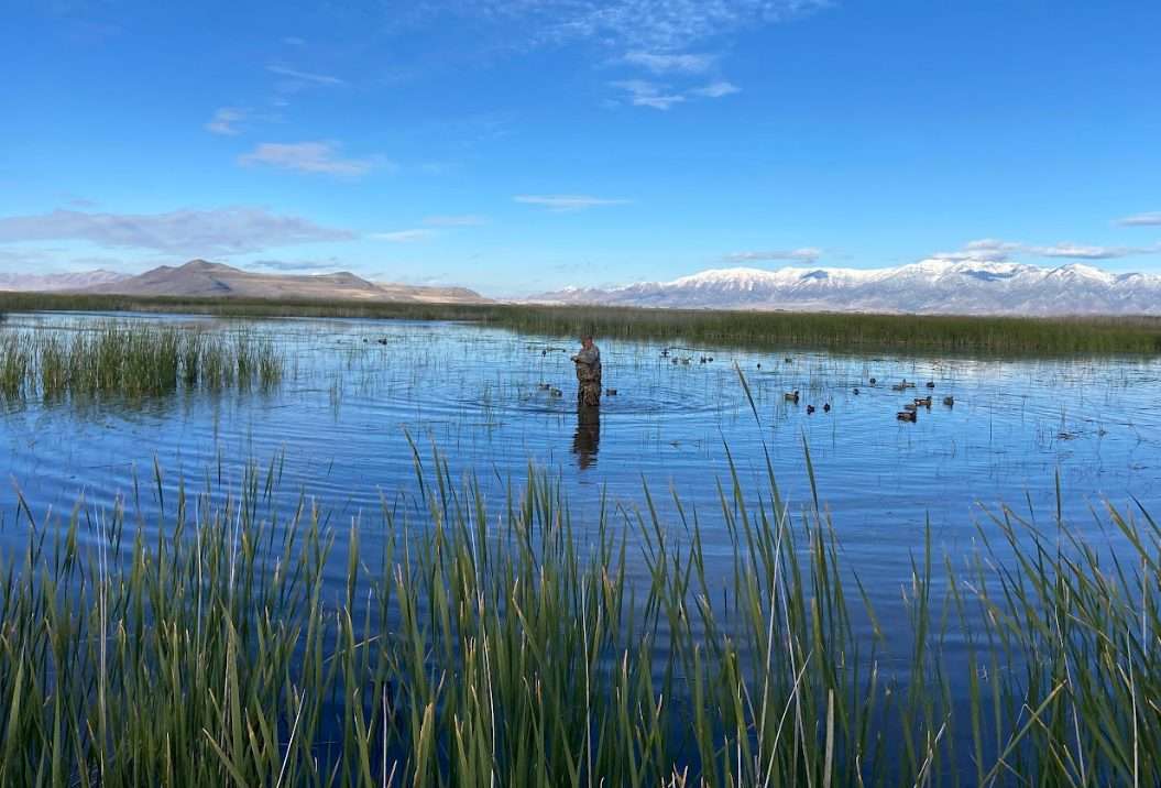What hunters should know about the 2025 Utah waterfowl hunting season ...